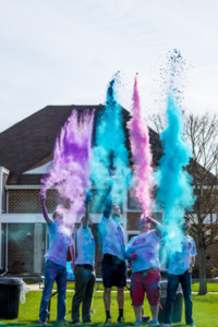 Color Me Rose - The Outlook