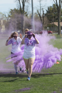 Color Me Rose - The Outlook