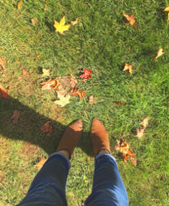 Falling in Love with Fall: The Best of the Four Seasons - The Outlook