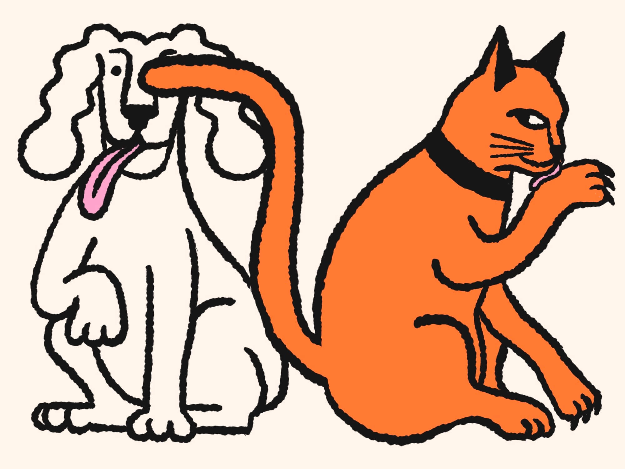 Cats over dogs - The Outlook