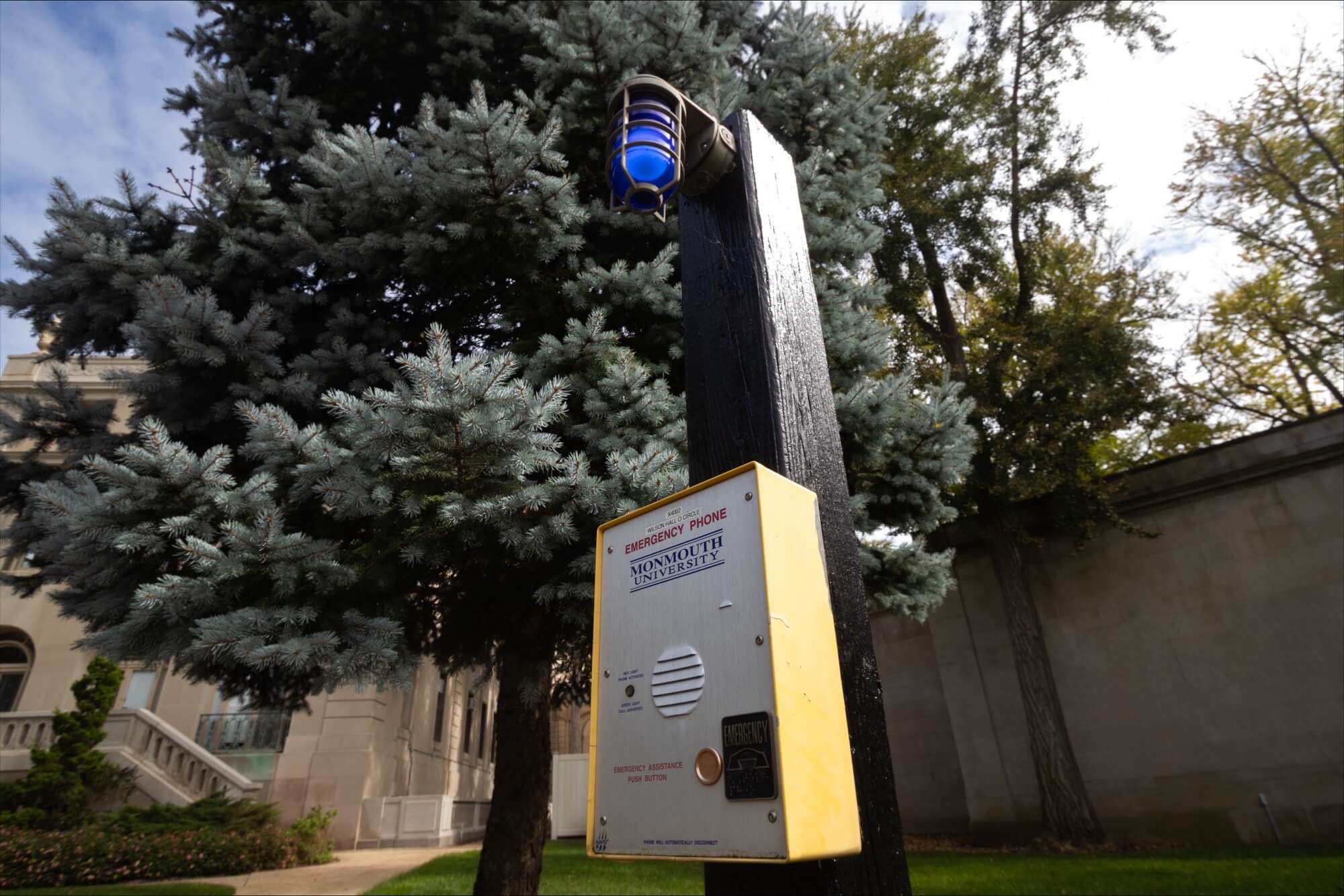 Monmouth blue light system: how does it work? - The Outlook