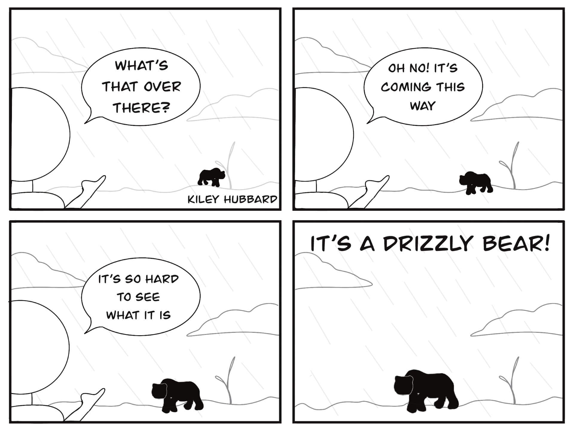 Drizzly bear - The Outlook