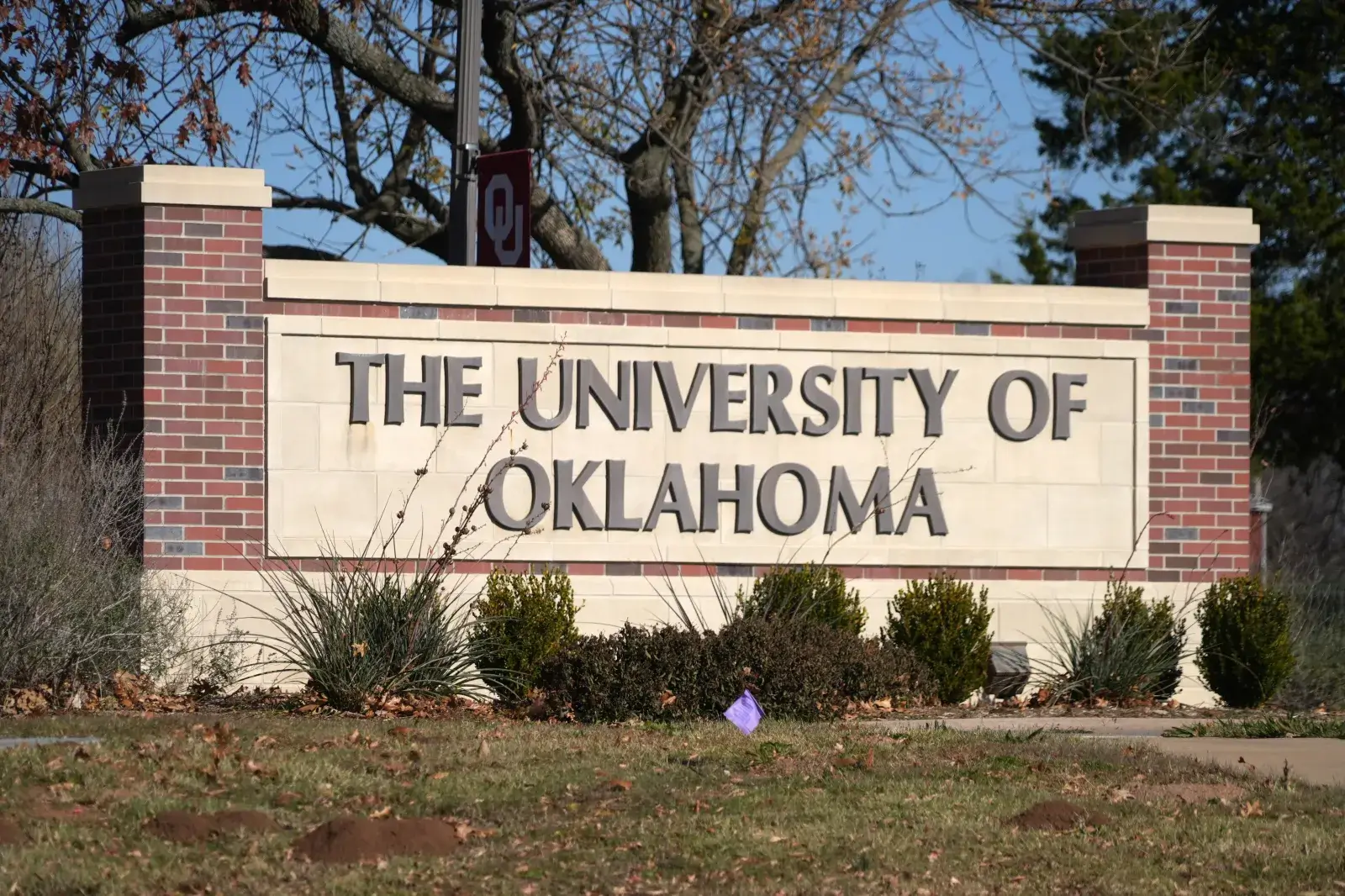 University of Oklahoma student’s essay sparks national dispute - The ...